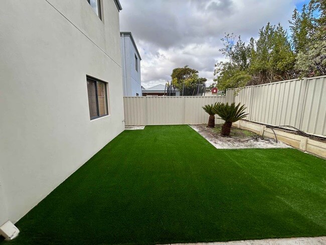 Best And Worst Artificial Grass